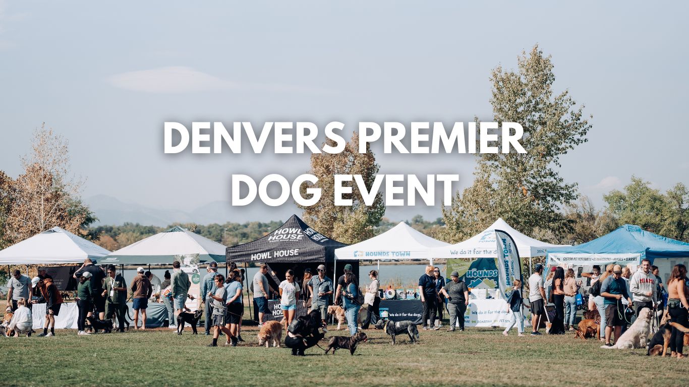 Denver Dog Days