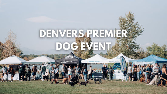 Denver Dog Days