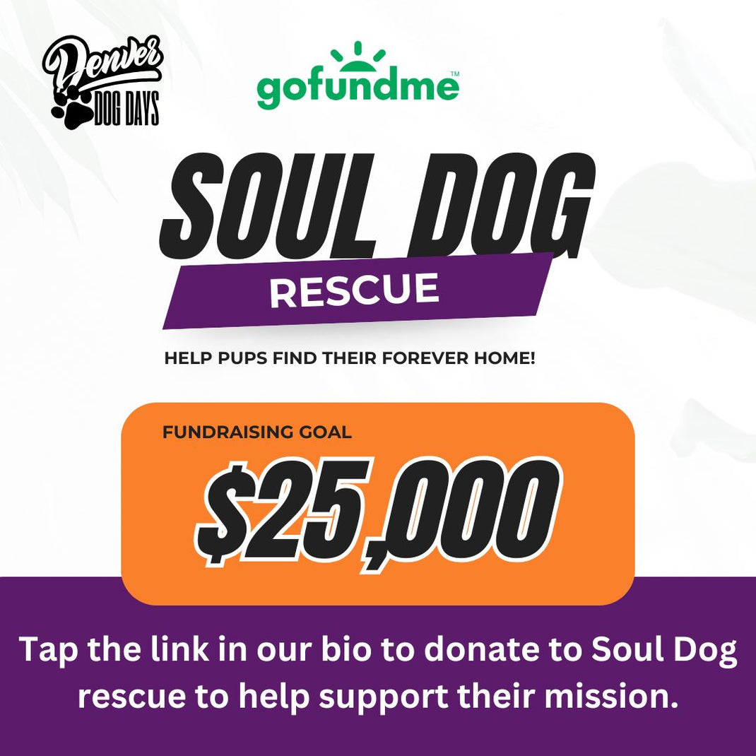 Event Info – Denver Dog Days